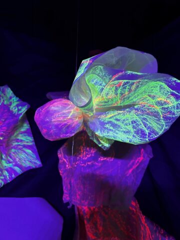 Free glow-in-the-dark art workshop with Kathryn Cowen and Gareth ...